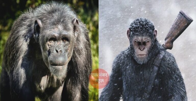 Chinese scientists trying to create Human-Monkey cross breed