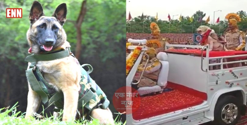Rani a sniffing dog at Chennai airport is retiring after 10 years