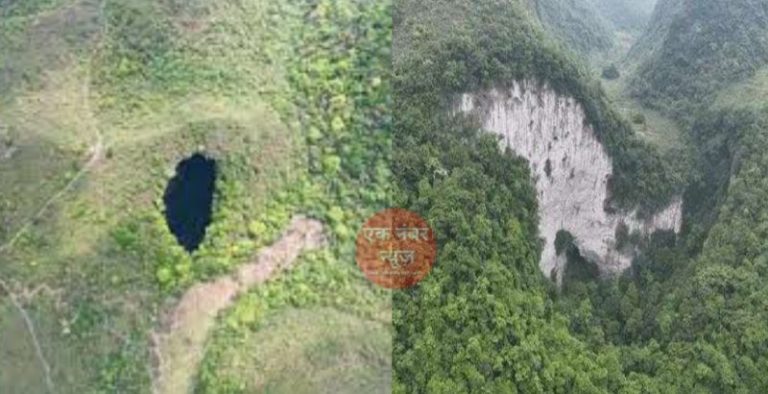 Ancient forest found at bottom of huge sinkhole in China