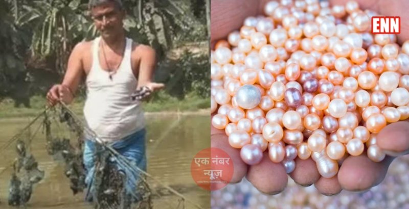 Begusarai farmer started Pearl Farming and earning Over 1 lakh