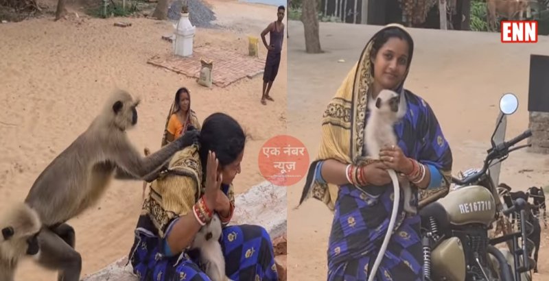 Funny Monkey With Woman video make you laugh